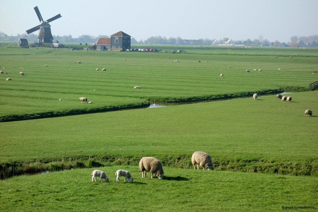 Droogmakerij De Beemster